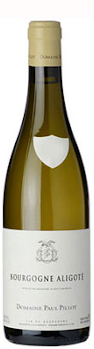 Domaine Paul Pillot Bourgogne Aligote 2022 750ml - Buy online at ...